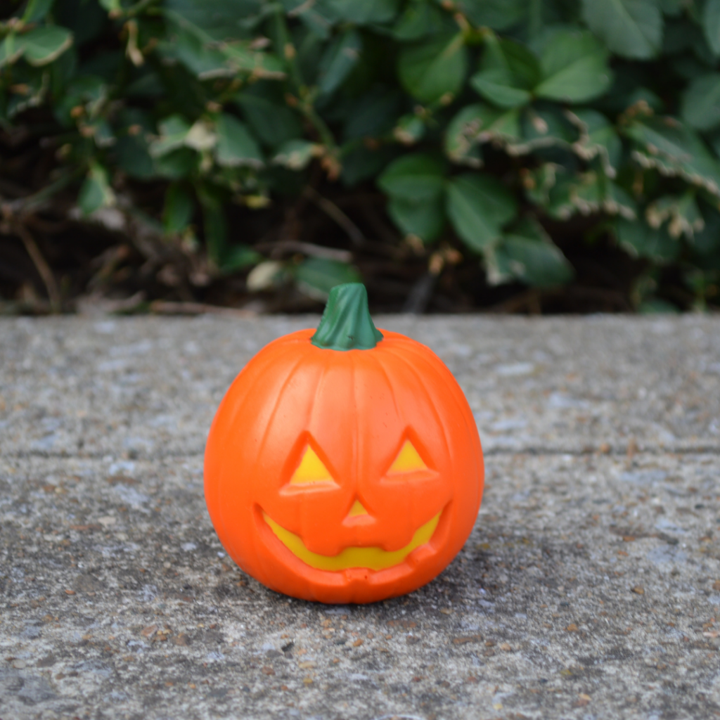 All QuaverEd Products – QuaverShop