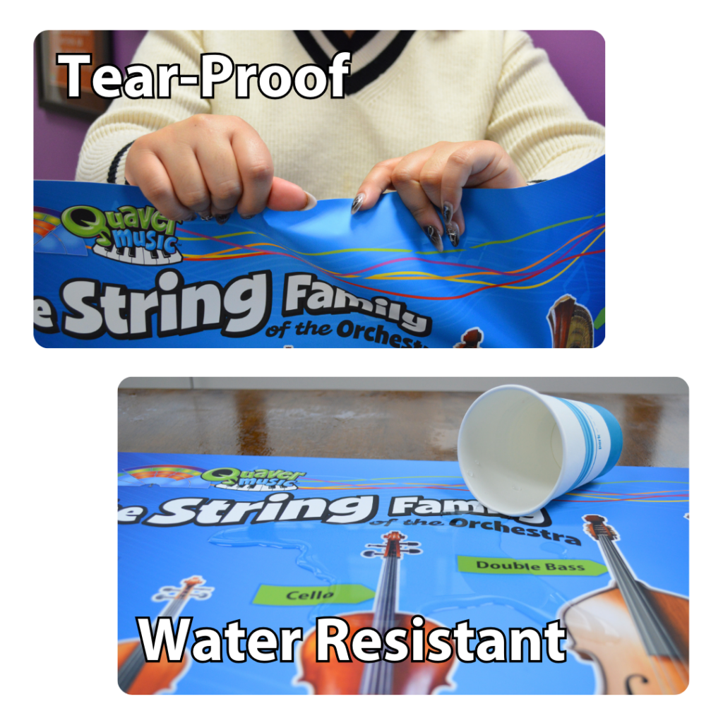 The String Family Poster – QuaverShop